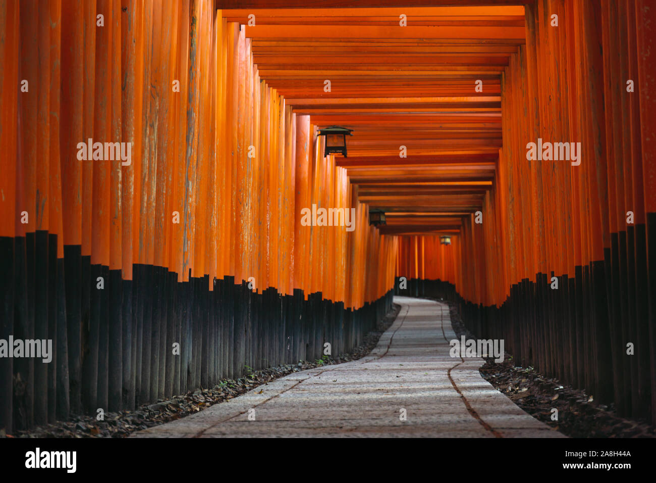Red Torii gates in Fushimi Inari shrine in Kyoto, Japan Stock Photo - Alamy