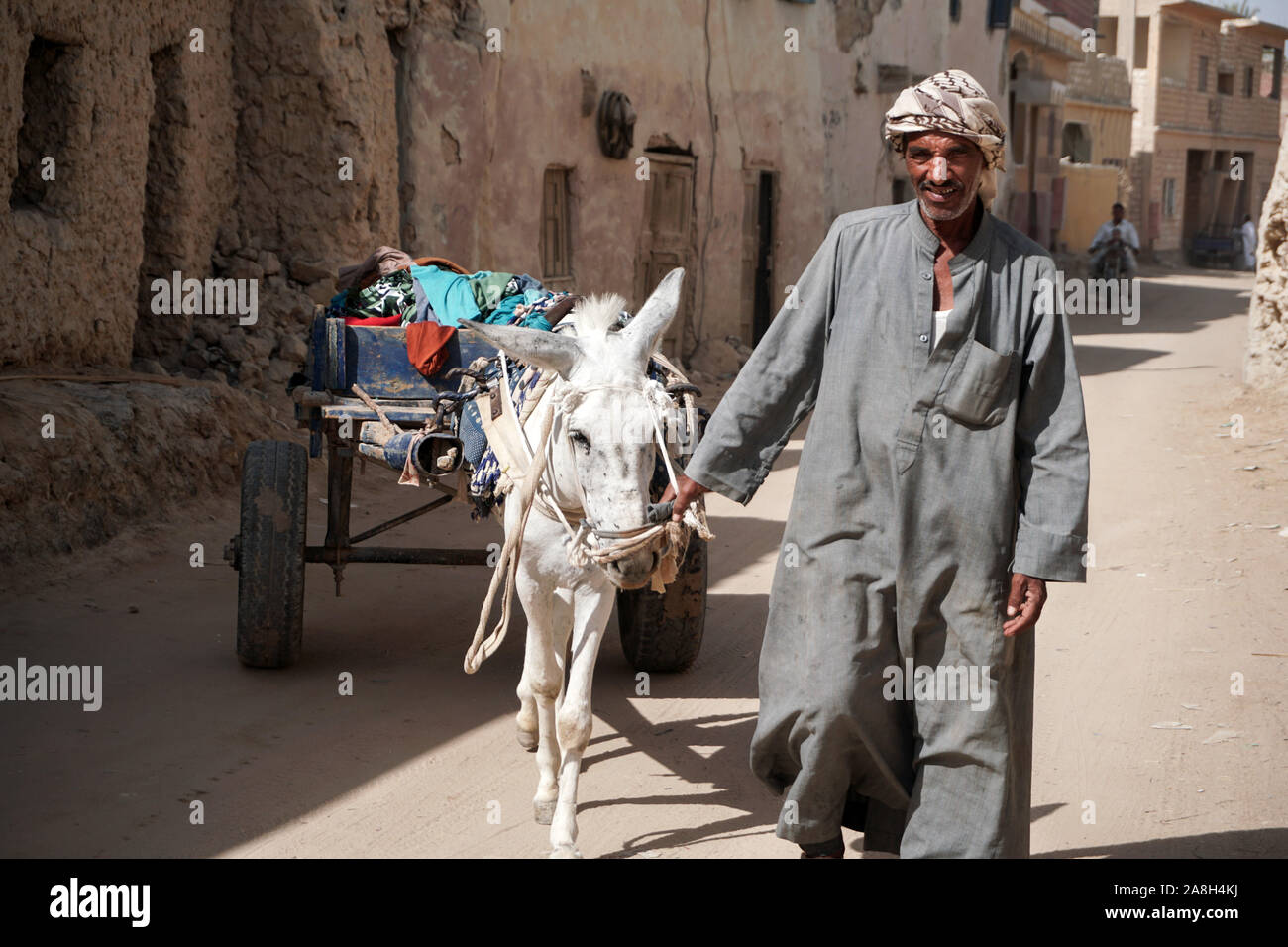 Middle east donkey cart hi-res stock photography and images - Alamy