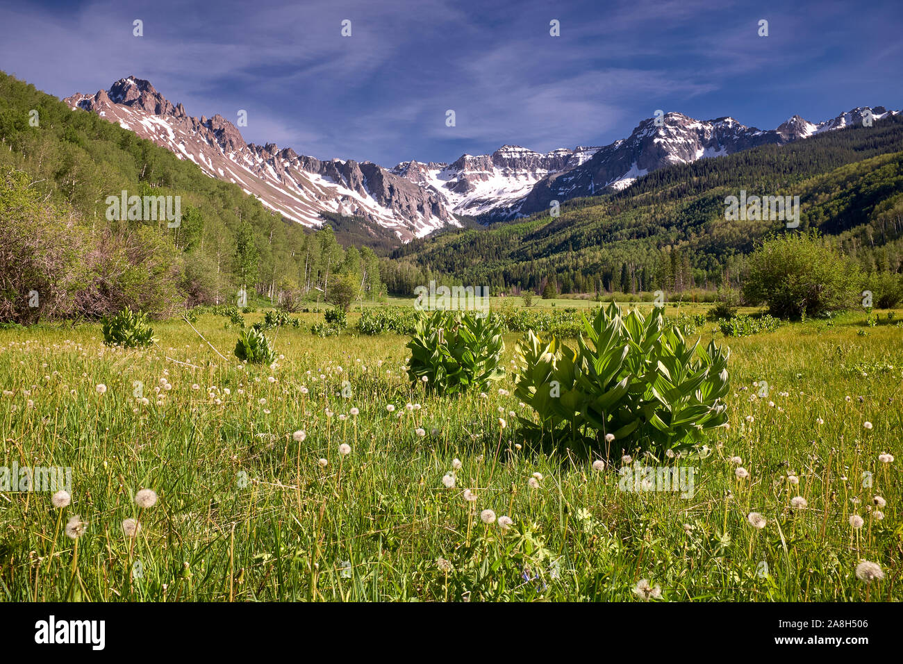 Mount Sneffels Range, San Juan Mountains, Colorado, USA Stock Photo - Alamy