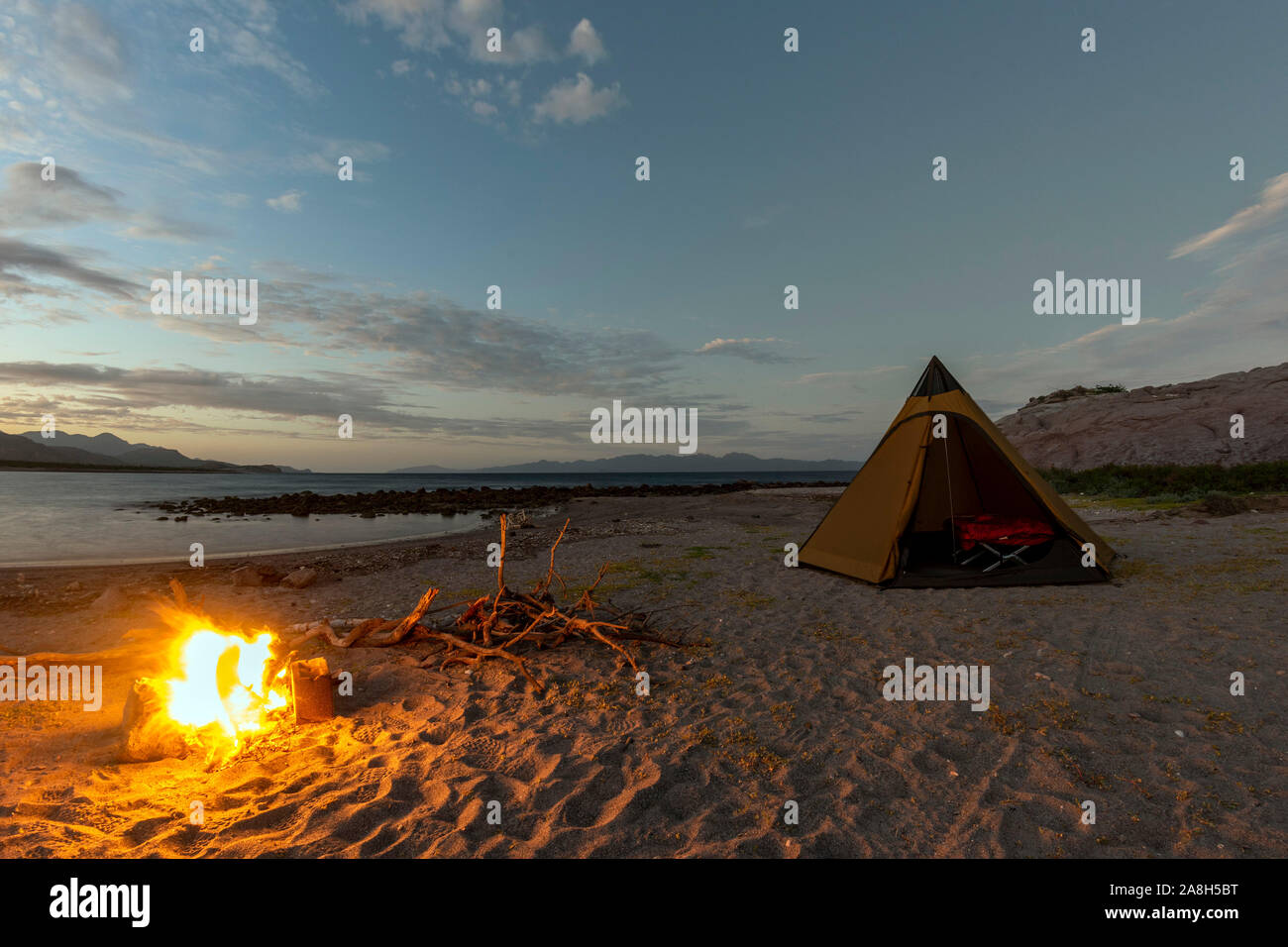 Sandy astro hi-res stock photography and images - Alamy