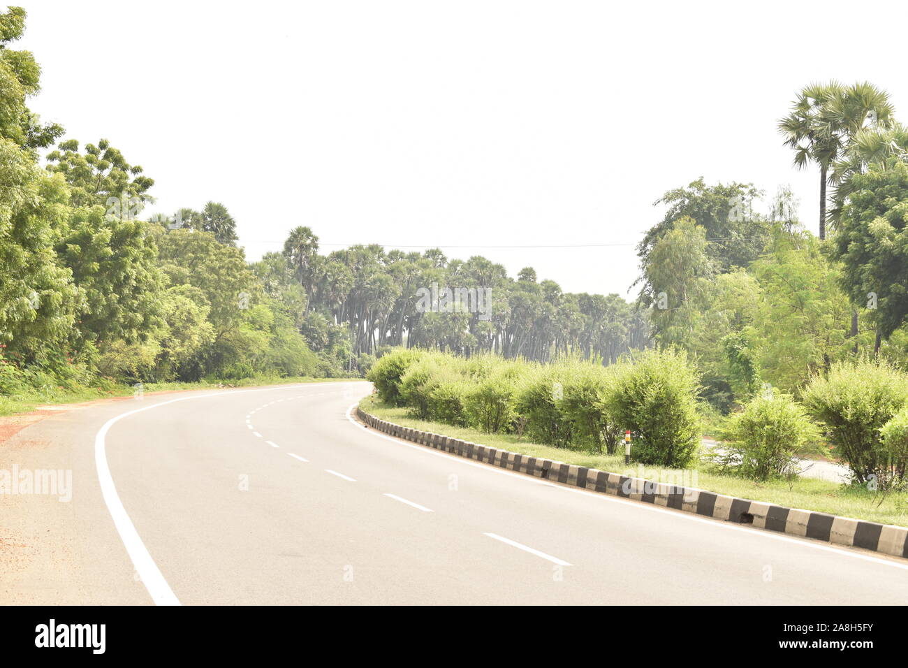 long empty highway road turning right, green palm tree on the roadside ...