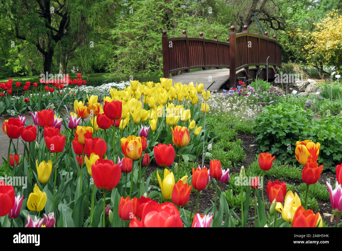 Flowers in park Stock Photo - Alamy