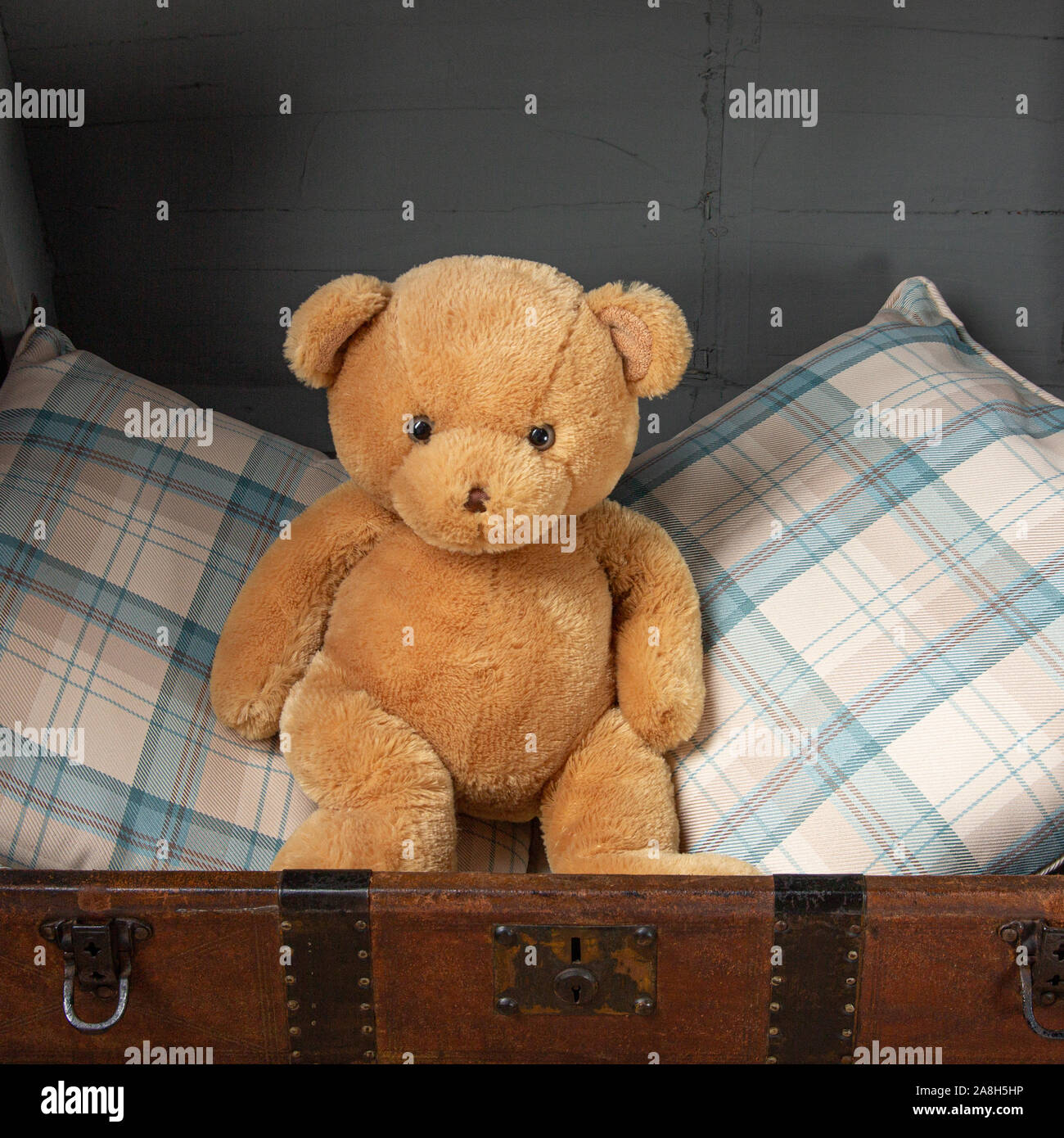 A traditional teddy bear sitting in an old toy chest Stock Photo - Alamy