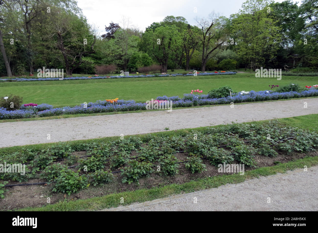 Zagreb botanical garden hi-res stock photography and images - Alamy