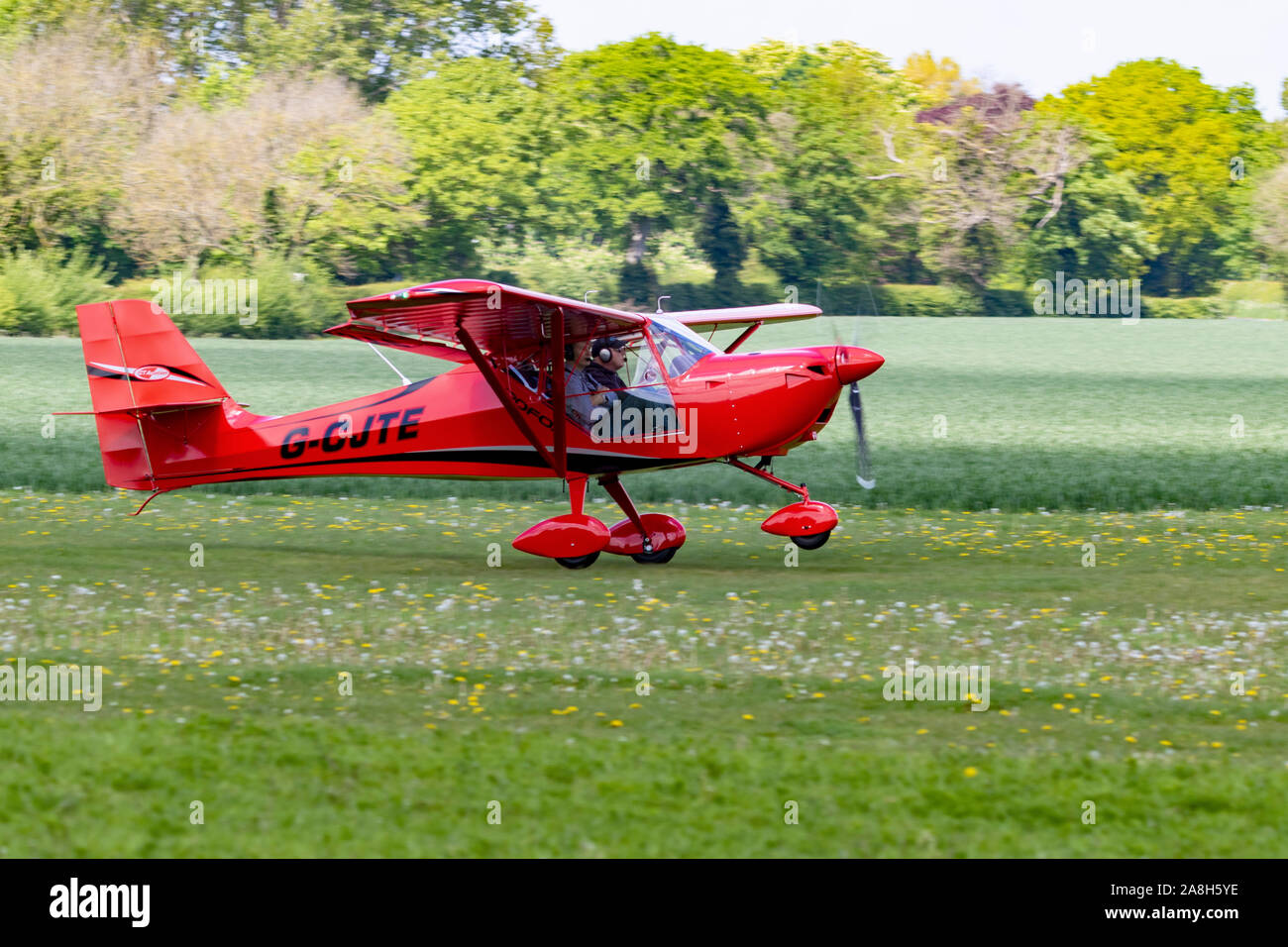 Eurofox hi-res stock photography and images - Alamy