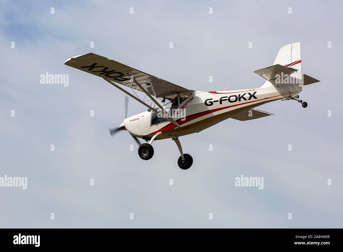 Eurofox hi-res stock photography and images - Alamy