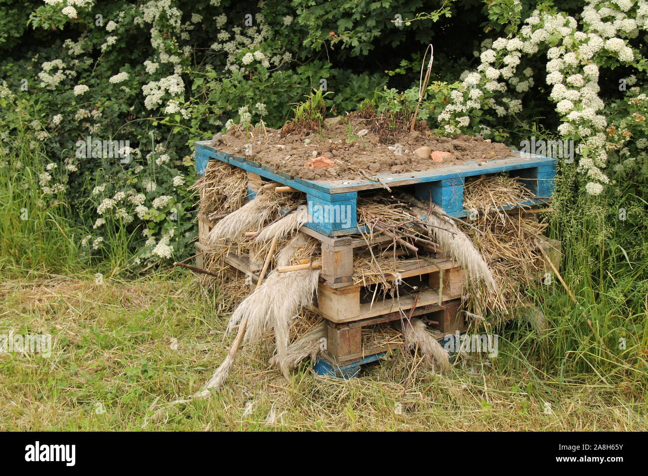 A Bug Hotel Made from Pallets and Natural Materials Stock Photo - Alamy