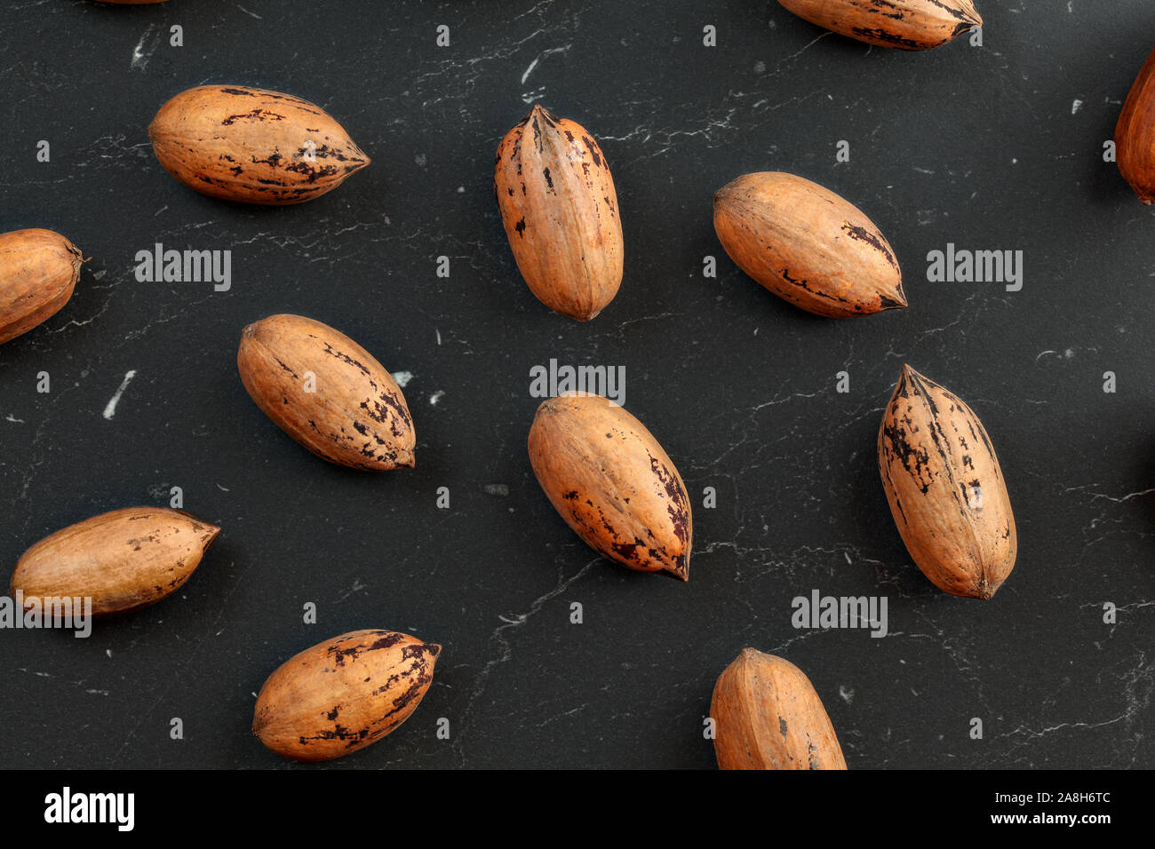 Overhead photo - spotted whole pecan nuts ( Carya illinoinensis ) on ...