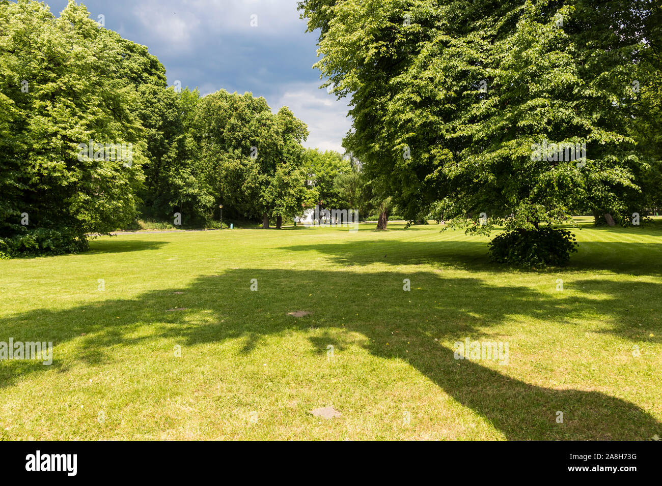 Colorful garden. Summer time. Trees and shadows Stock Photo - Alamy