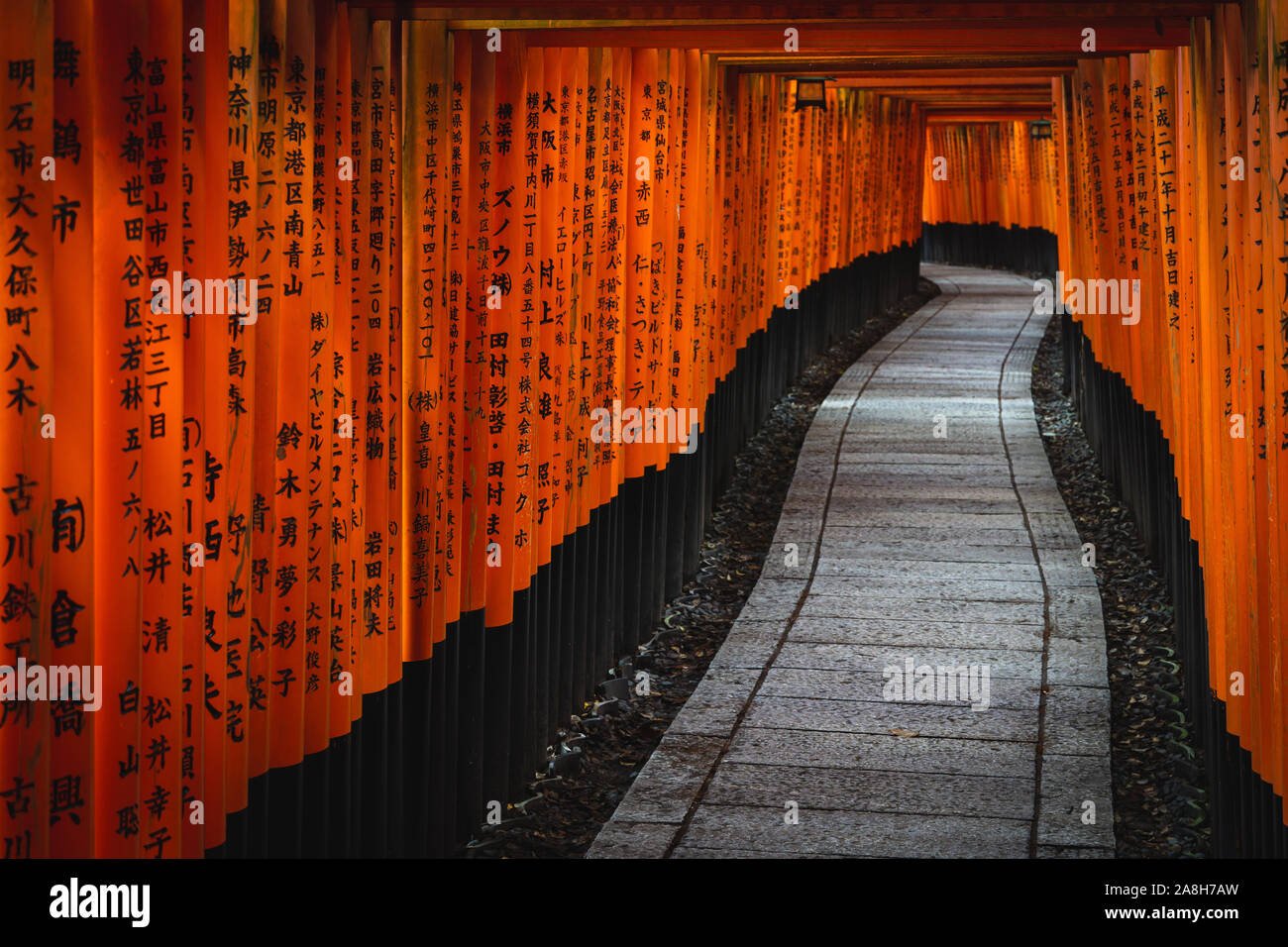 Red Torii gates in Fushimi Inari shrine in Kyoto, Japan Stock Photo - Alamy