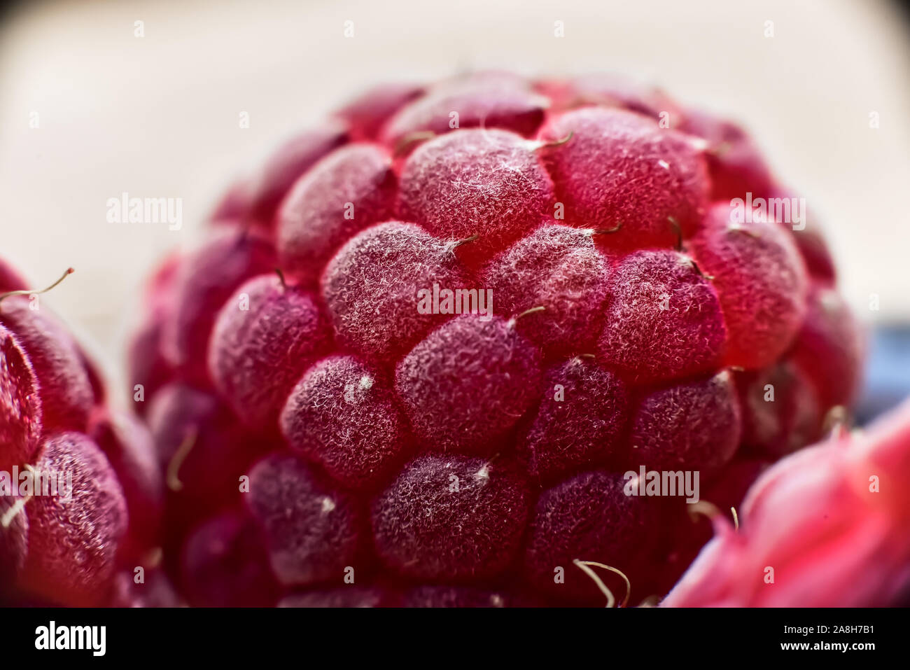 Raspberry close up magnified fruit Stock Photo - Alamy