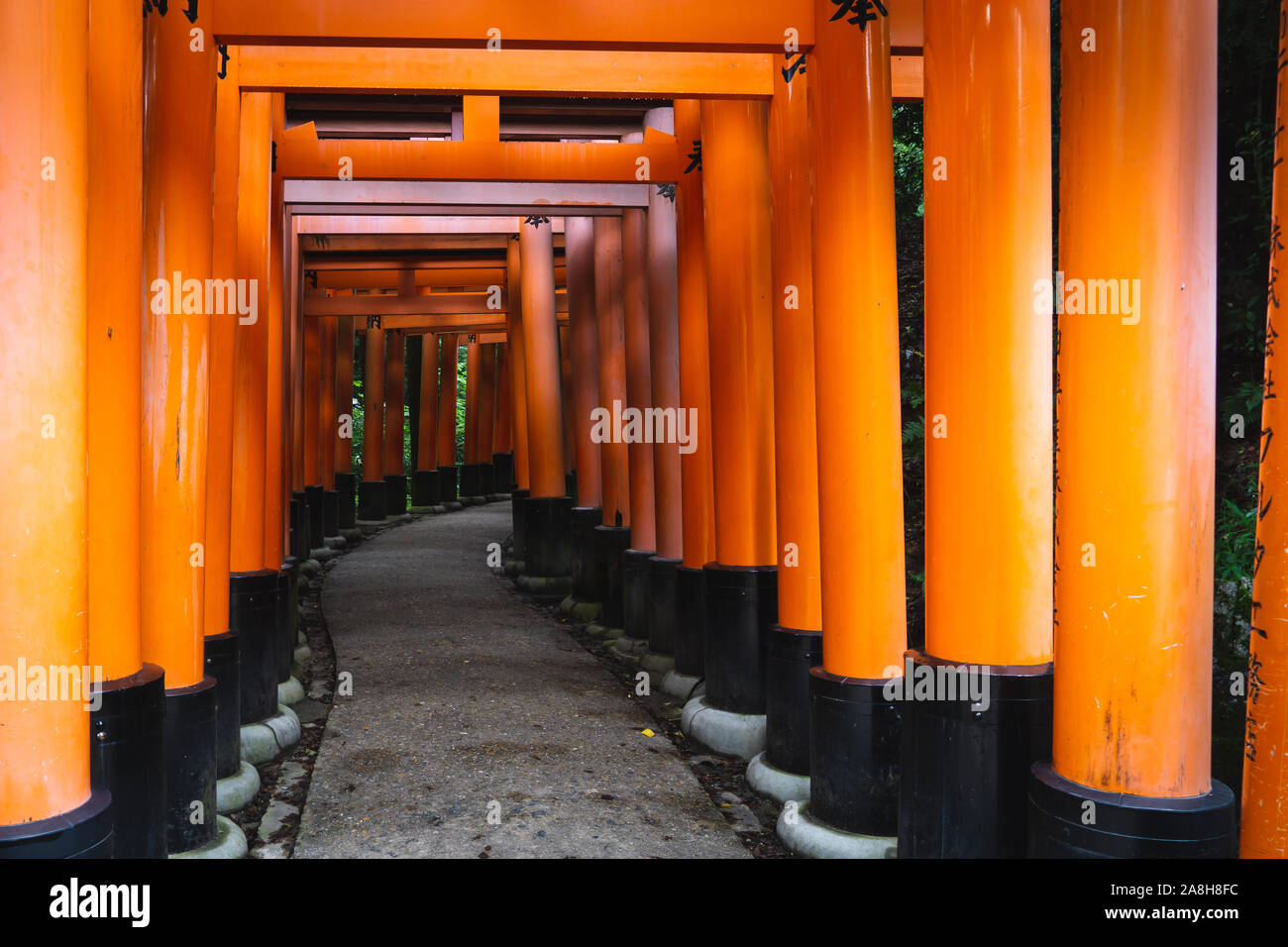 Red Torii gates in Fushimi Inari shrine in Kyoto, Japan Stock Photo - Alamy