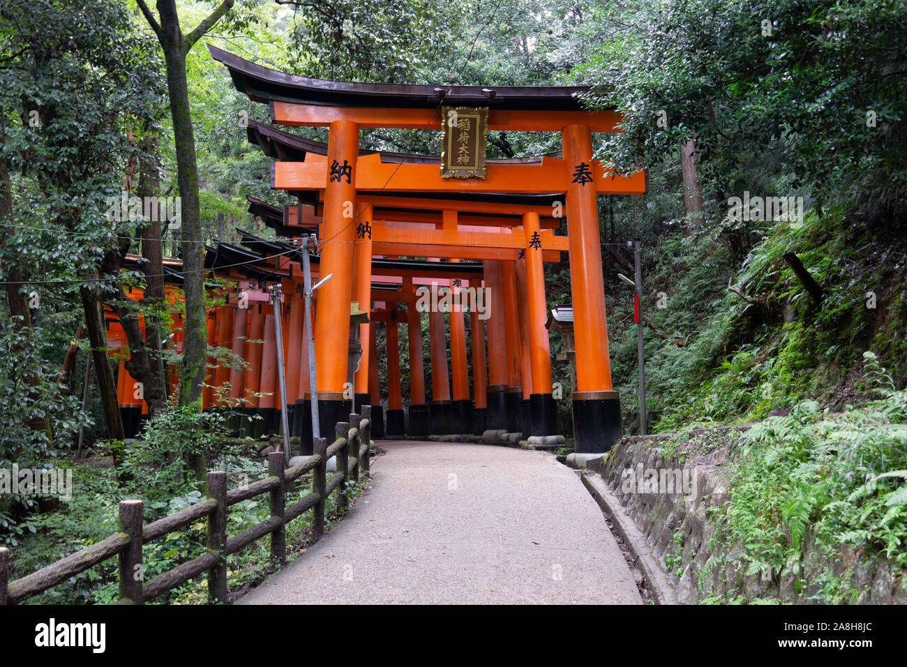 Red Torii gates in Fushimi Inari shrine in Kyoto, Japan Stock Photo - Alamy