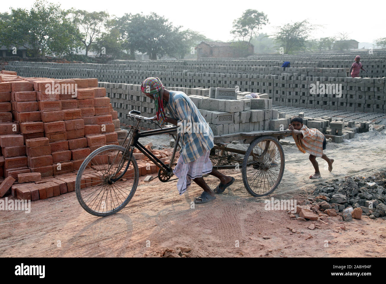 Brick field workers carrying complete finish brick from the kiln on a ...