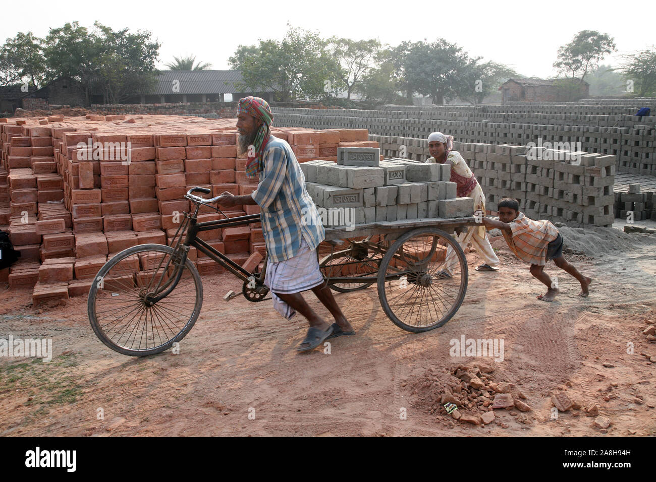 Brick field workers carrying complete finish brick from the kiln on a ...