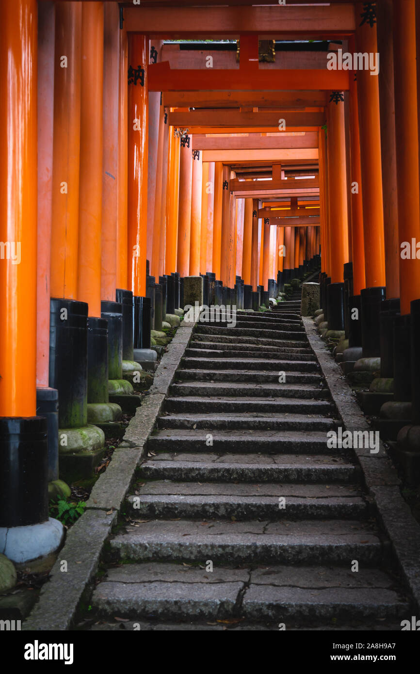 Red Torii gates in Fushimi Inari shrine in Kyoto, Japan Stock Photo - Alamy