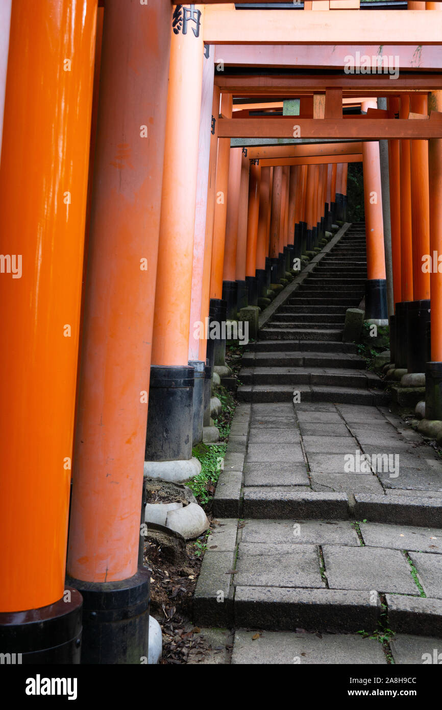 Red Torii gates in Fushimi Inari shrine in Kyoto, Japan Stock Photo - Alamy