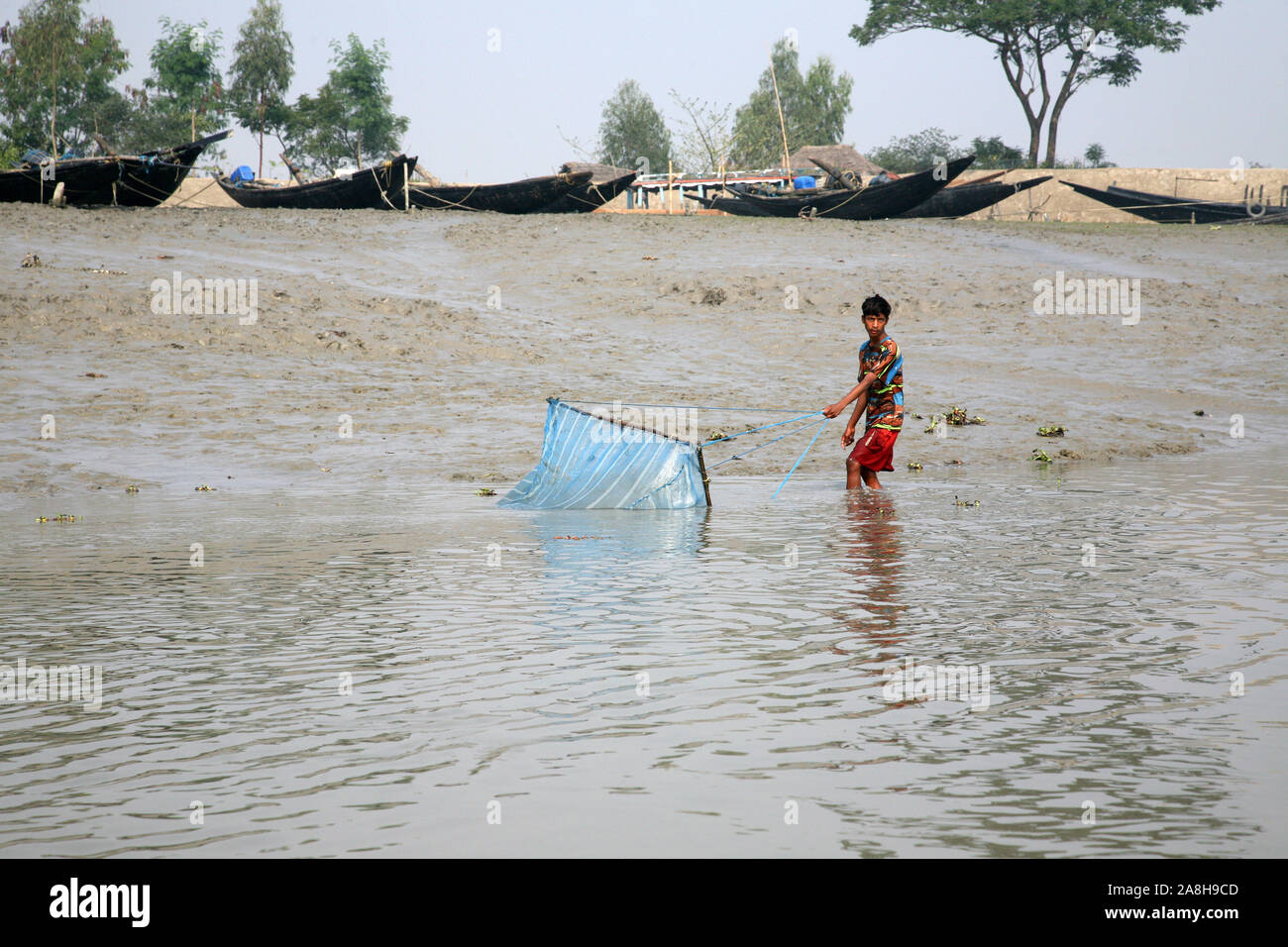 Fisherman uses fishing net in a traditional way for fishing in a Ganges ...