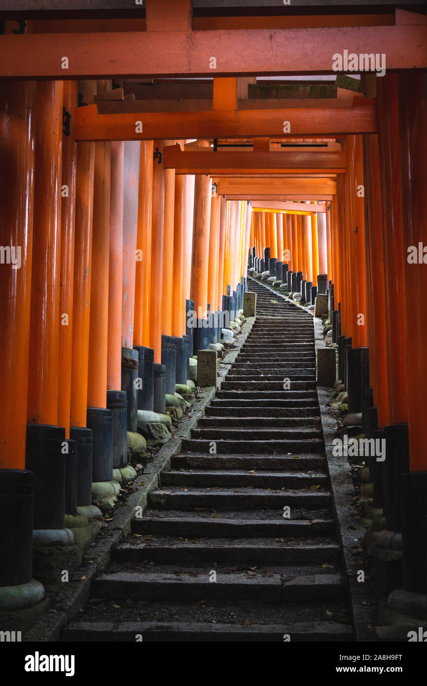 Red Torii gates in Fushimi Inari shrine in Kyoto, Japan Stock Photo - Alamy
