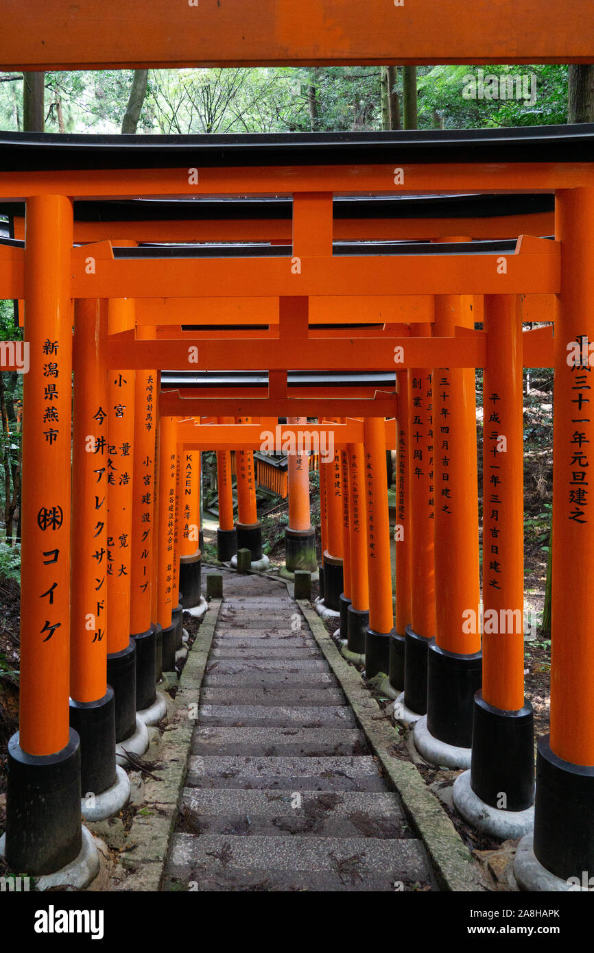 Red Torii gates in Fushimi Inari shrine in Kyoto, Japan Stock Photo - Alamy