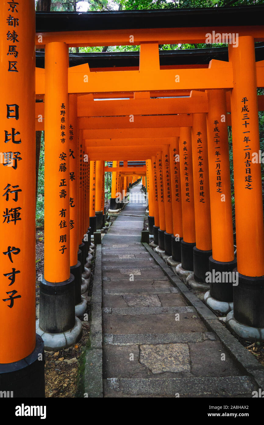 Red Torii gates in Fushimi Inari shrine in Kyoto, Japan Stock Photo - Alamy