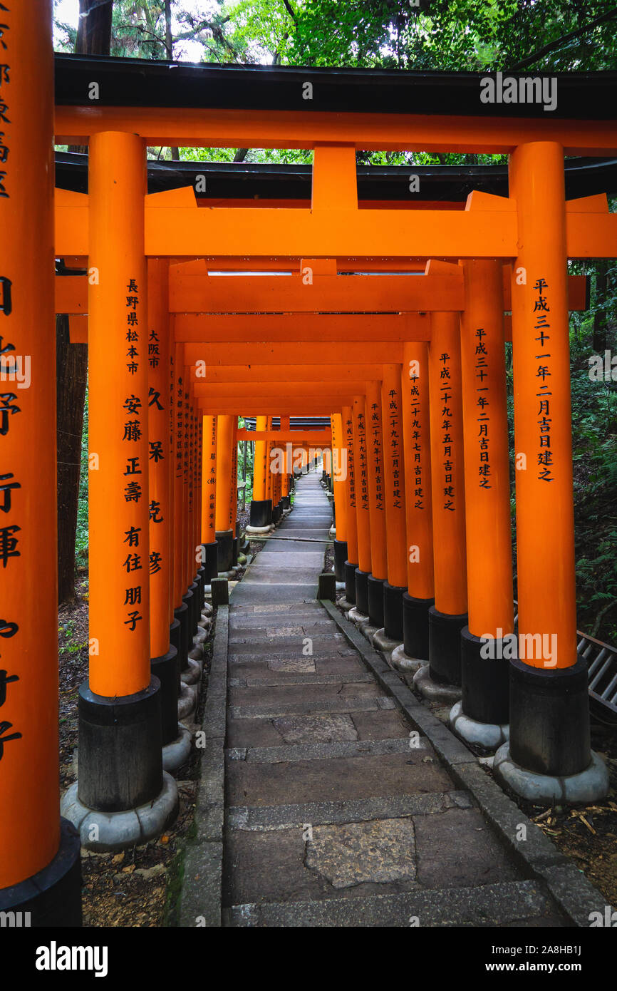 Red Torii gates in Fushimi Inari shrine in Kyoto, Japan Stock Photo - Alamy