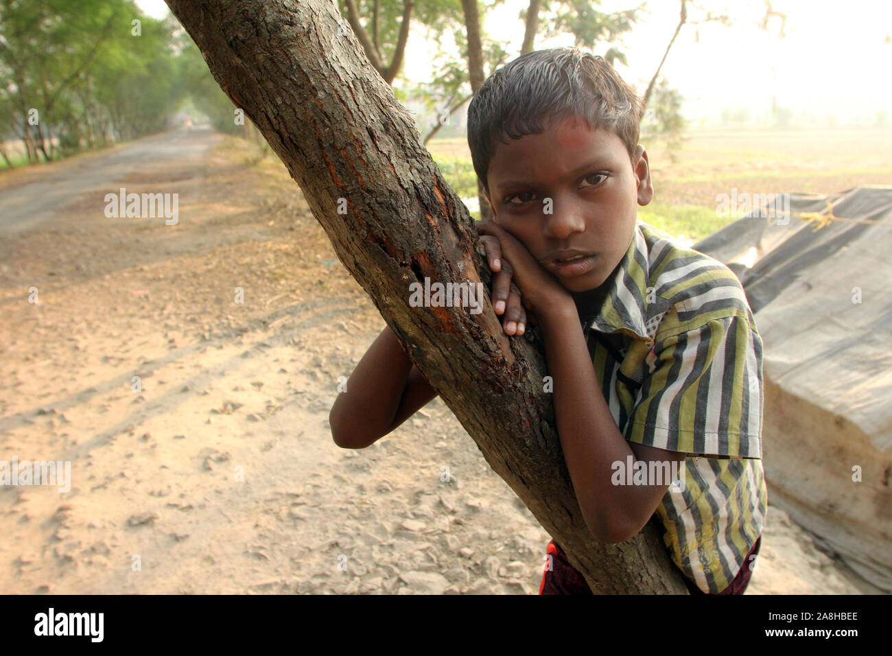 Portrait of tribal children in a village Baidyapur, India Stock Photo ...
