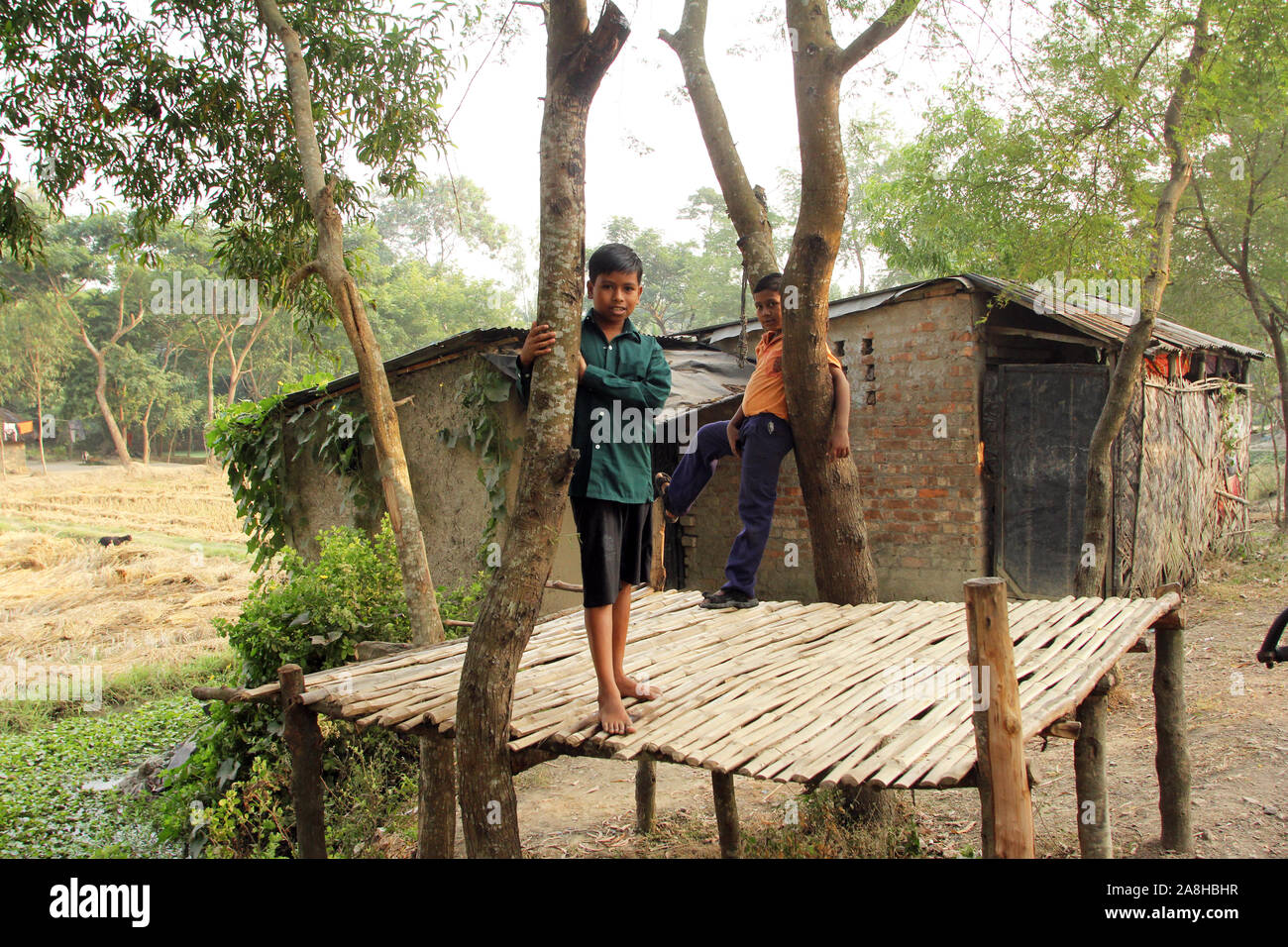 Portrait of tribal children in a village Baidyapur, India Stock Photo ...