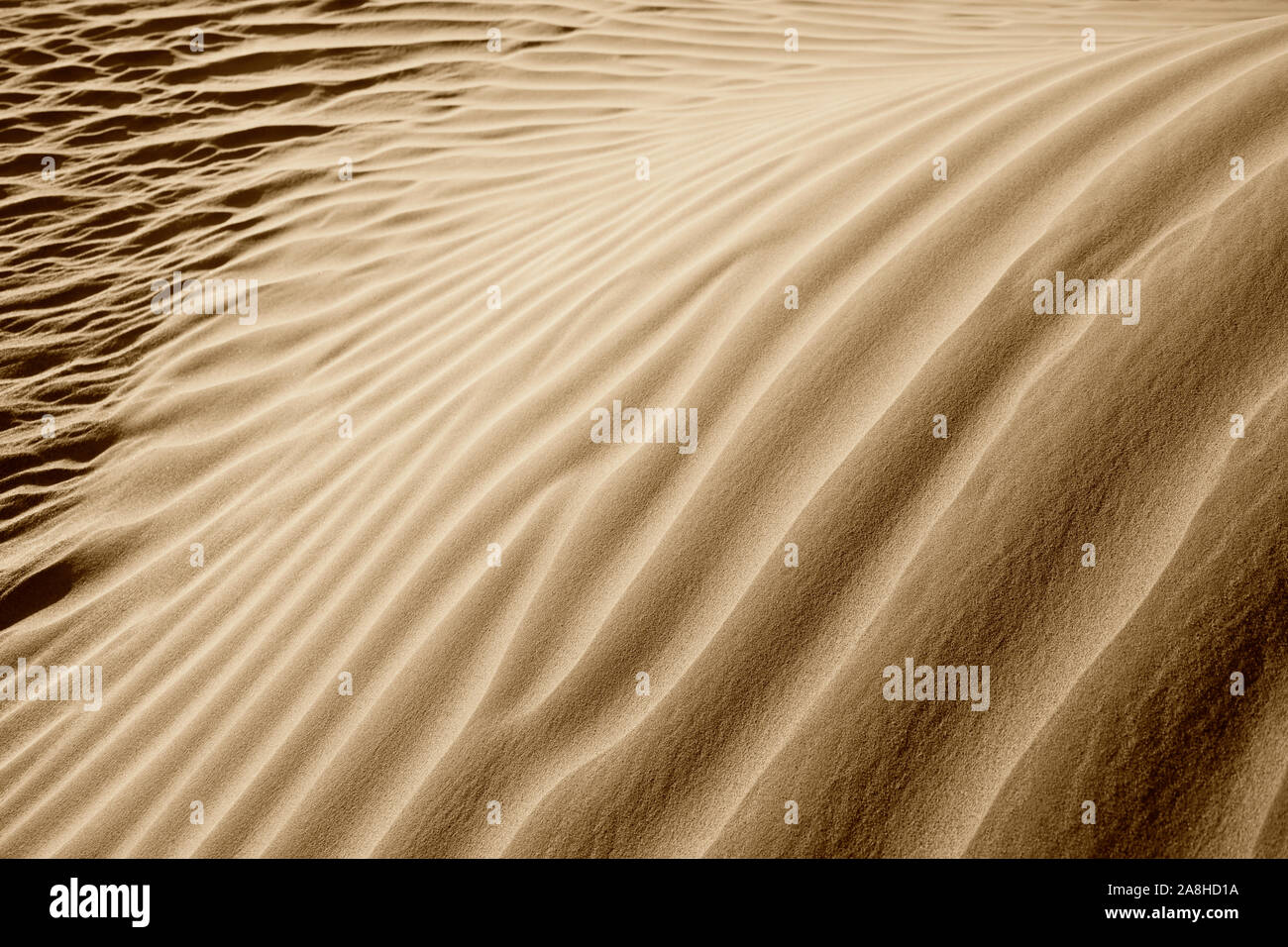 Desert Sand Dune Detail Pattern High Resolution Stock Photography and ...
