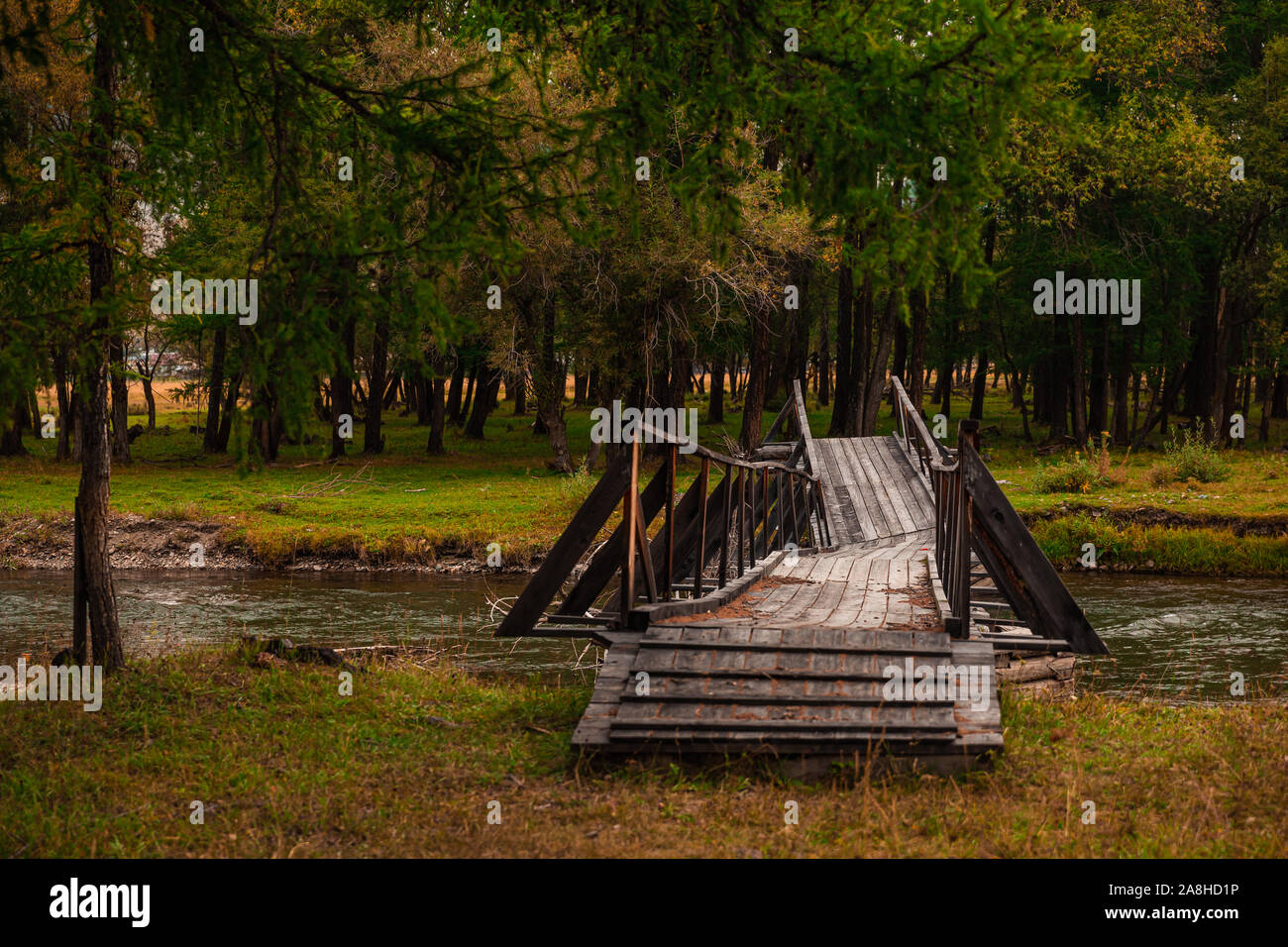 Old ruined wooden bridge over the river in the forest in cloudy weather ...