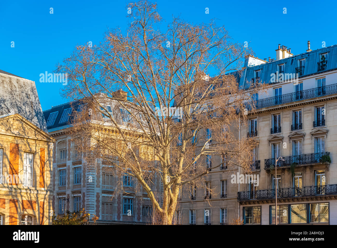 Boulevard de sebastopol hi-res stock photography and images - Alamy
