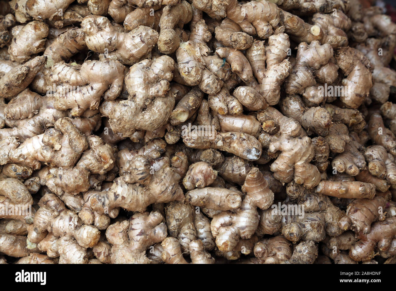 Ginger harvest hi-res stock photography and images - Alamy