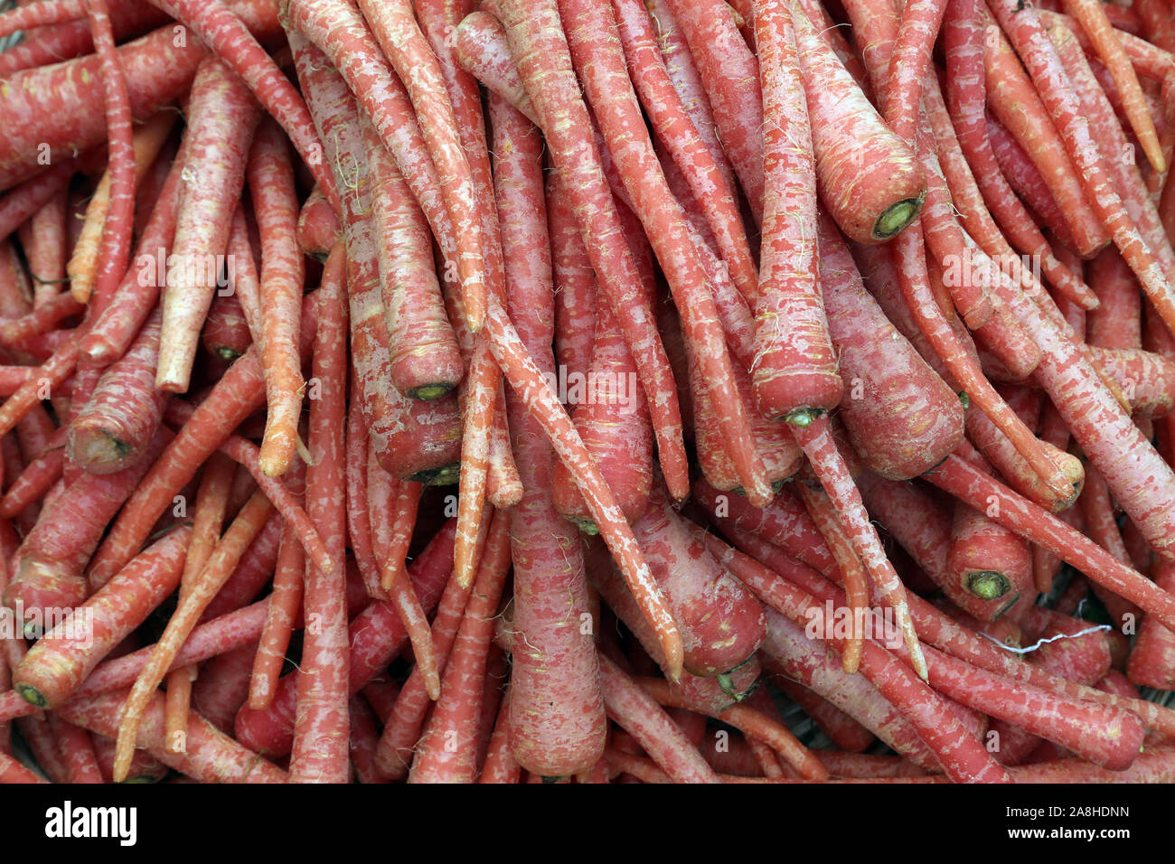 Indian red carrots indian market hi-res stock photography and images ...