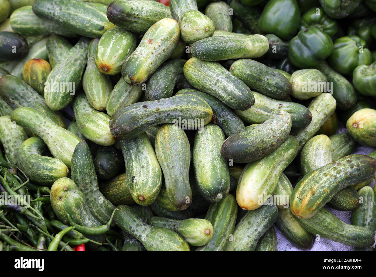 Indian cucumbers hi-res stock photography and images - Alamy