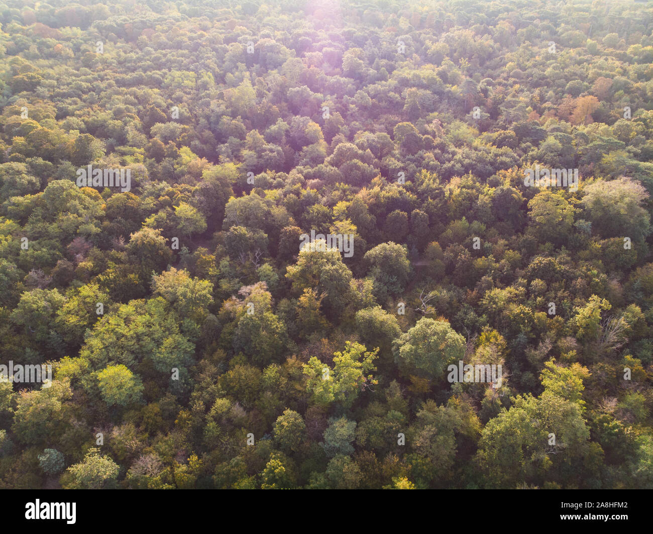 Top down flying above green hi-res stock photography and images - Alamy