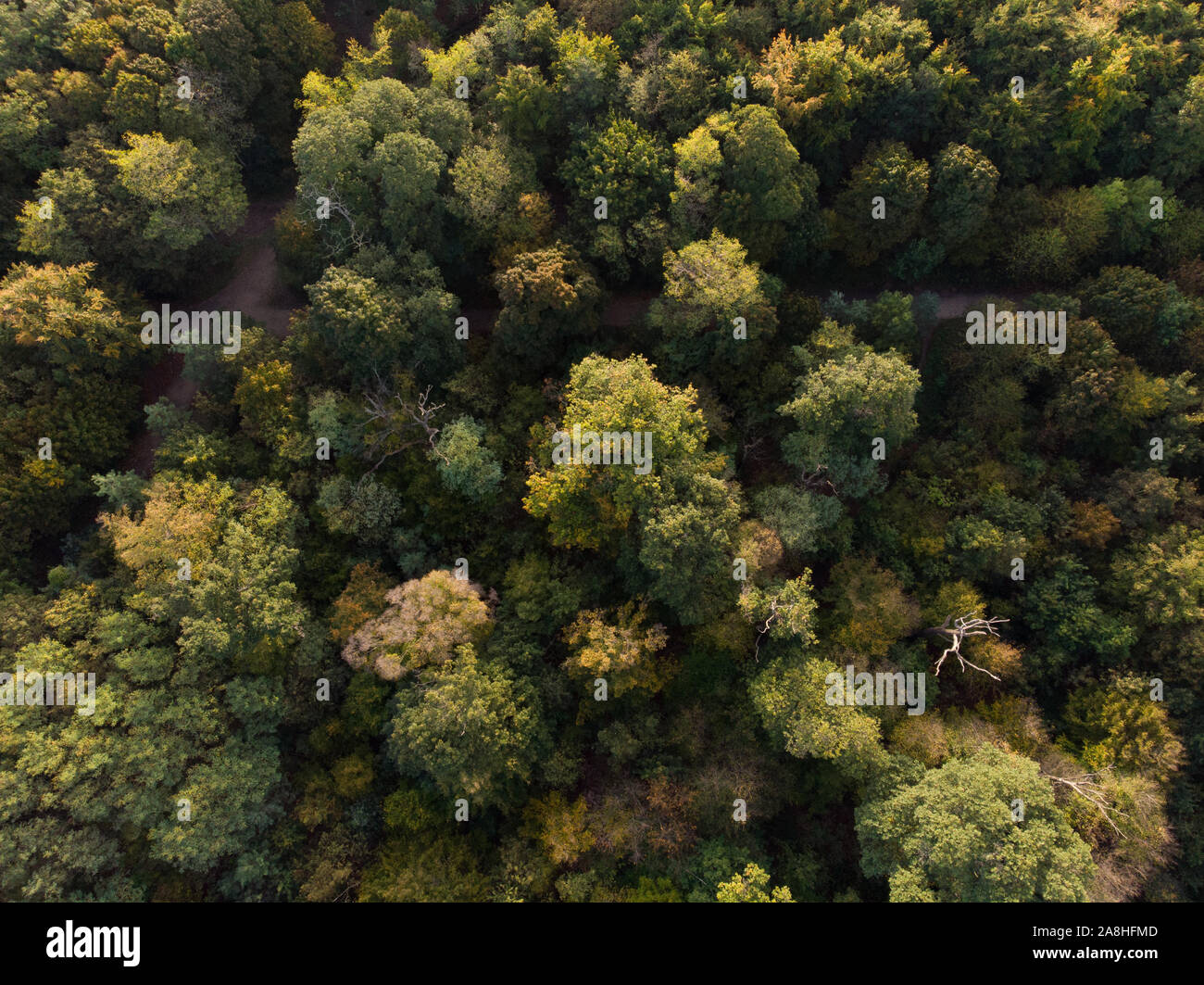 Beautiful cinematic top down aerial hi-res stock photography and images ...