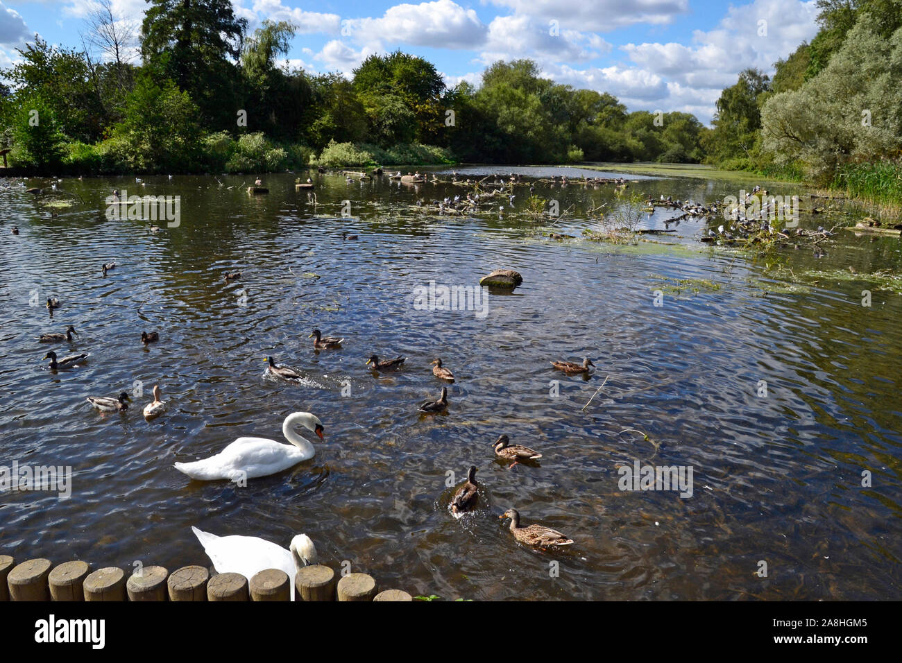 Abbey park hi-res stock photography and images - Alamy