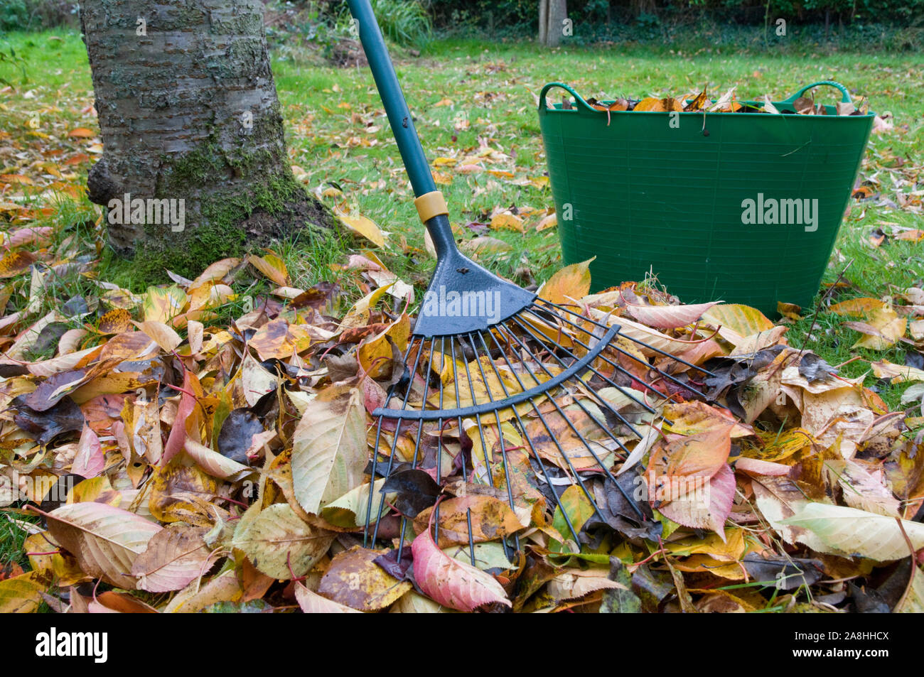 Rake types hi-res stock photography and images - Alamy