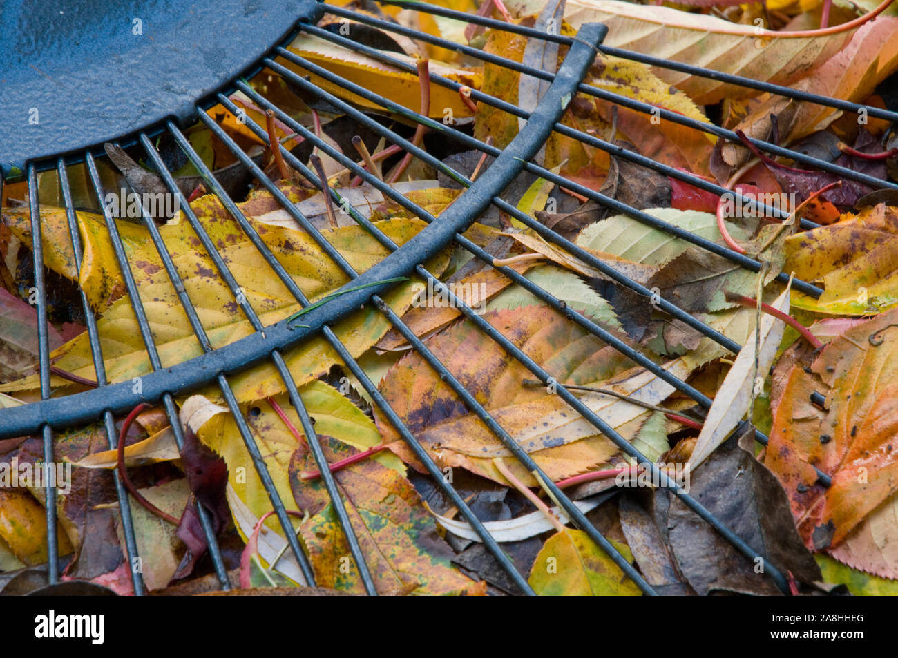Rake types hi-res stock photography and images - Alamy