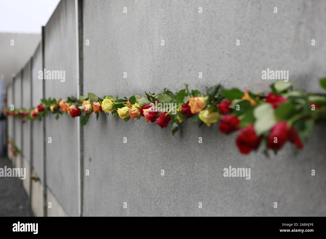 11/09/2019, Berlin, Germany, roses in the back wall Stock Photo - Alamy