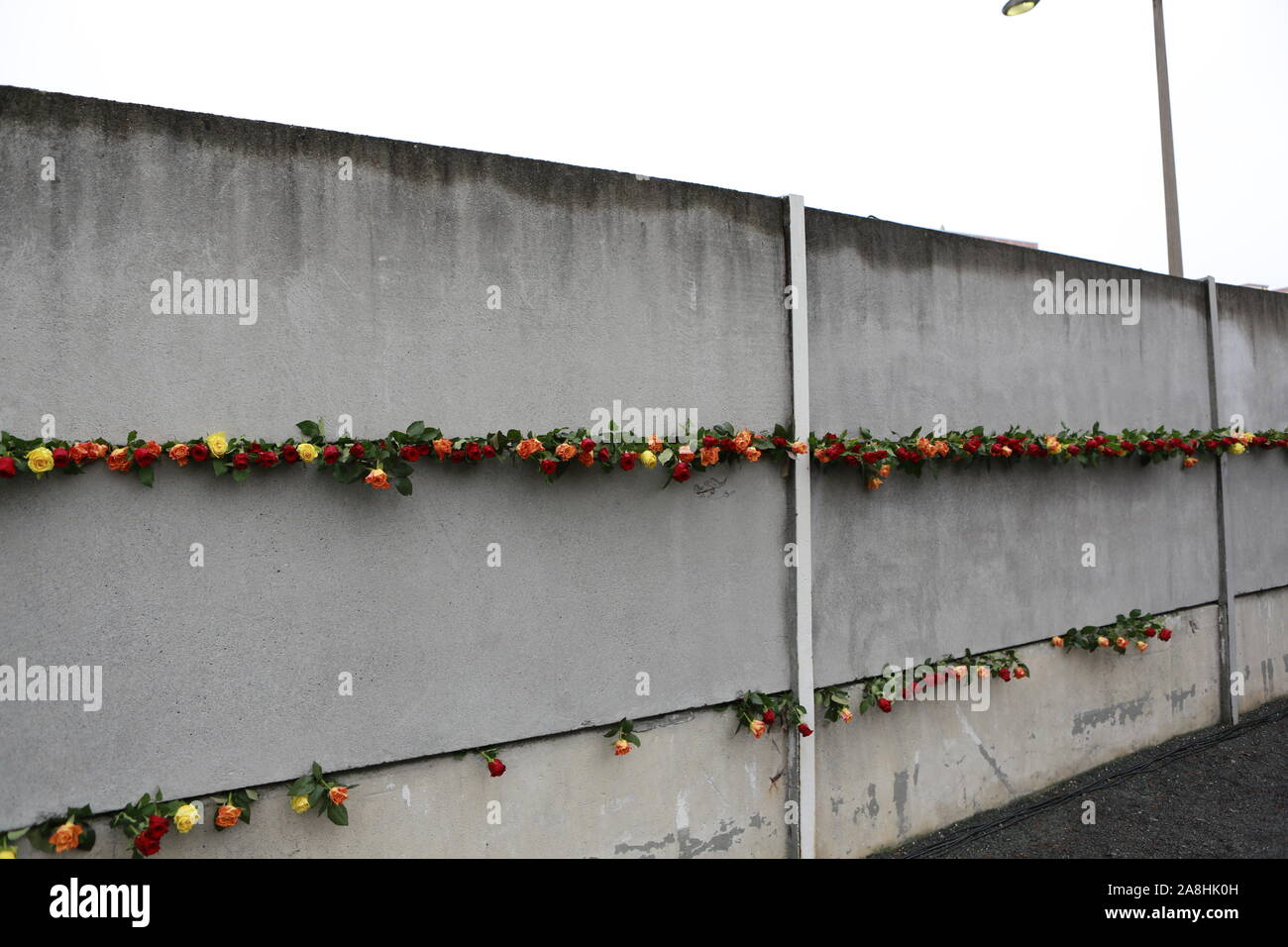 11/09/2019, Berlin, Germany, roses in the back wall Stock Photo - Alamy