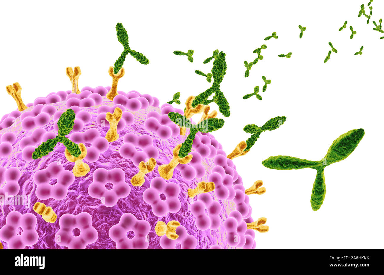 3D illustration showing human papillomavirus HPV marked by antibodies ...