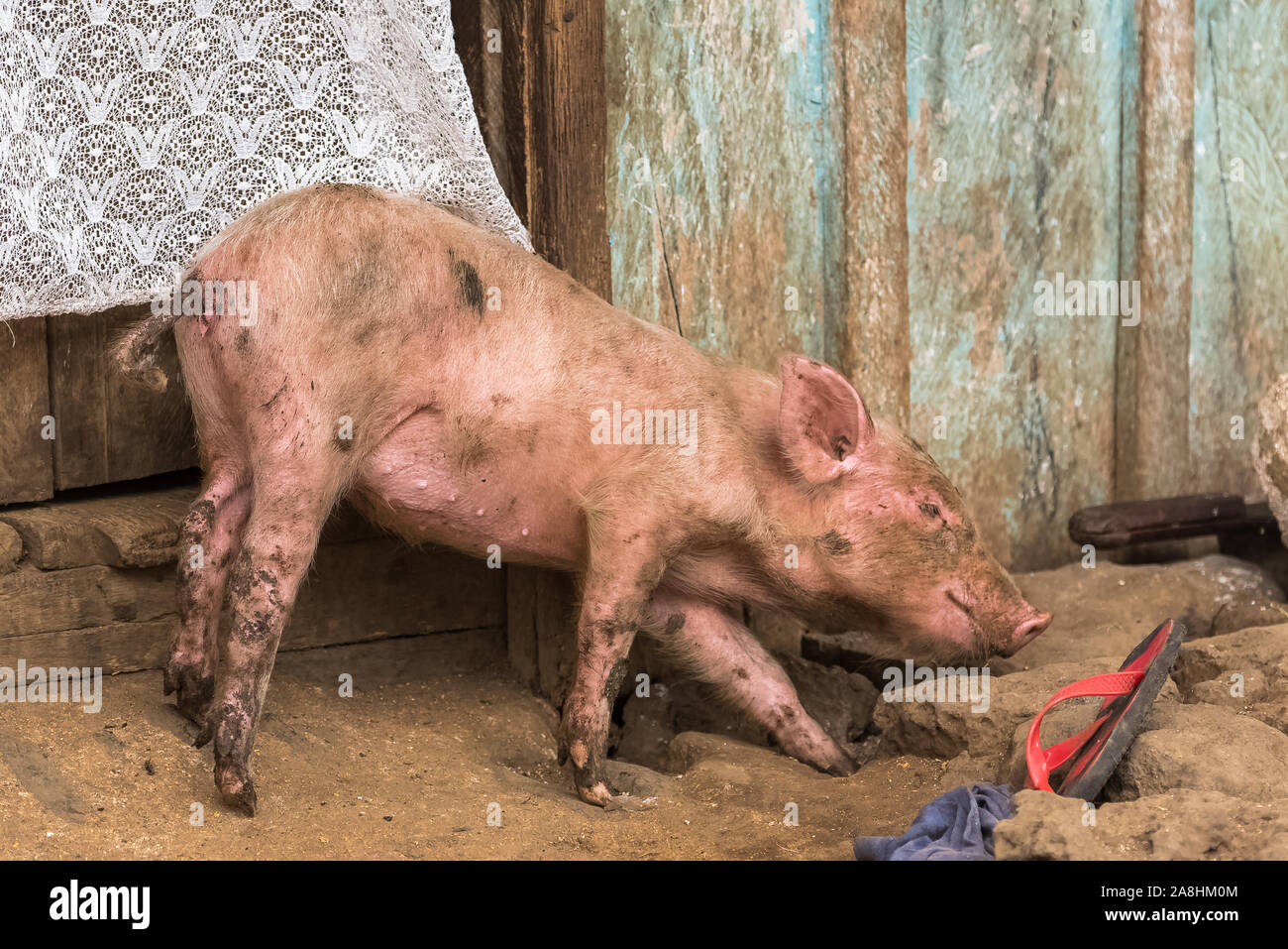 Typical African Village High Resolution Stock Photography and Images ...