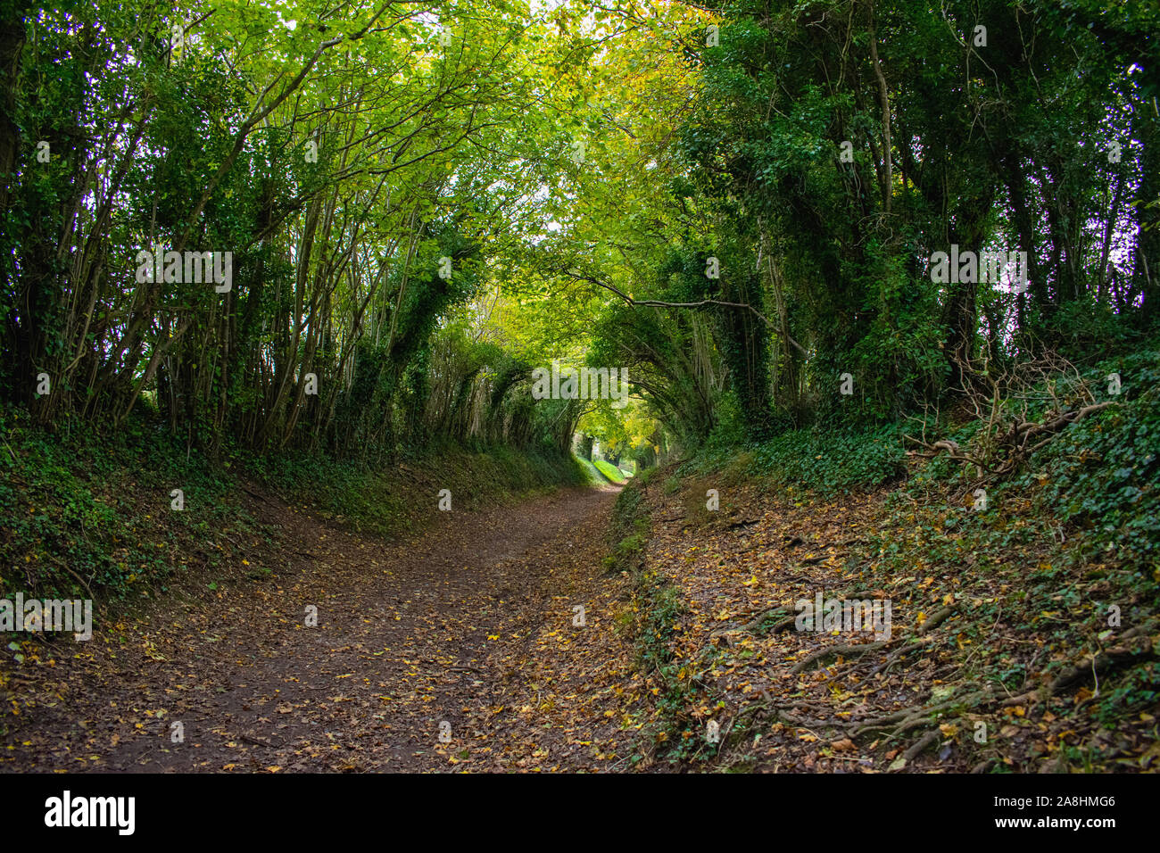 Halnaker tunnel hi-res stock photography and images - Alamy