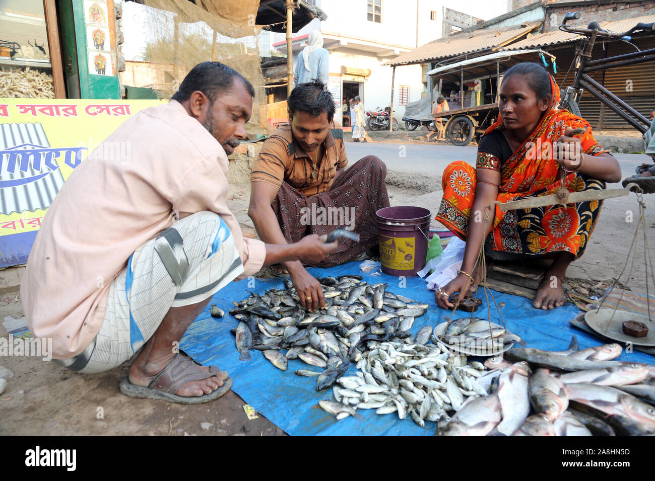 Fish market in Kumrokhali, West Bengal, India Stock Photo - Alamy