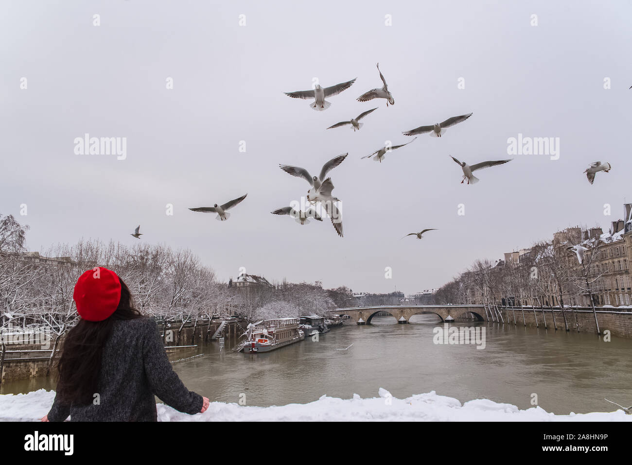 Paris under the snow and floods, snowman on the bank of the Seine ...