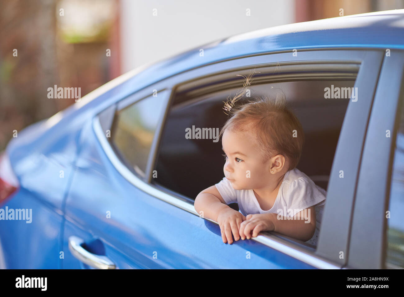 Cute baby girl look out from blue car window Stock Photo - Alamy