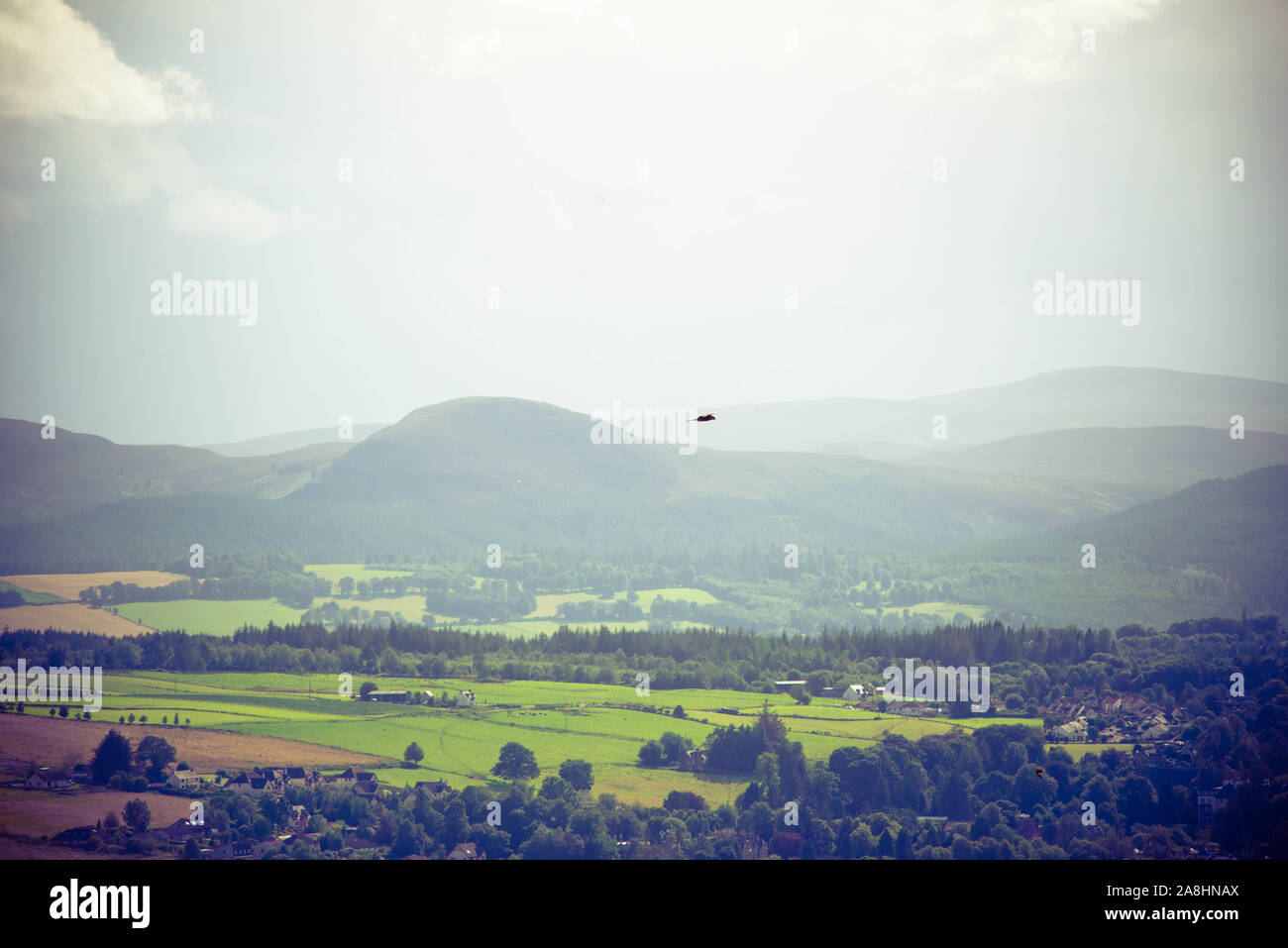 Red kites scotland hi-res stock photography and images - Alamy