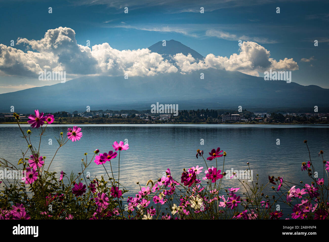 Mount Fuji, Japan Stock Photo - Alamy