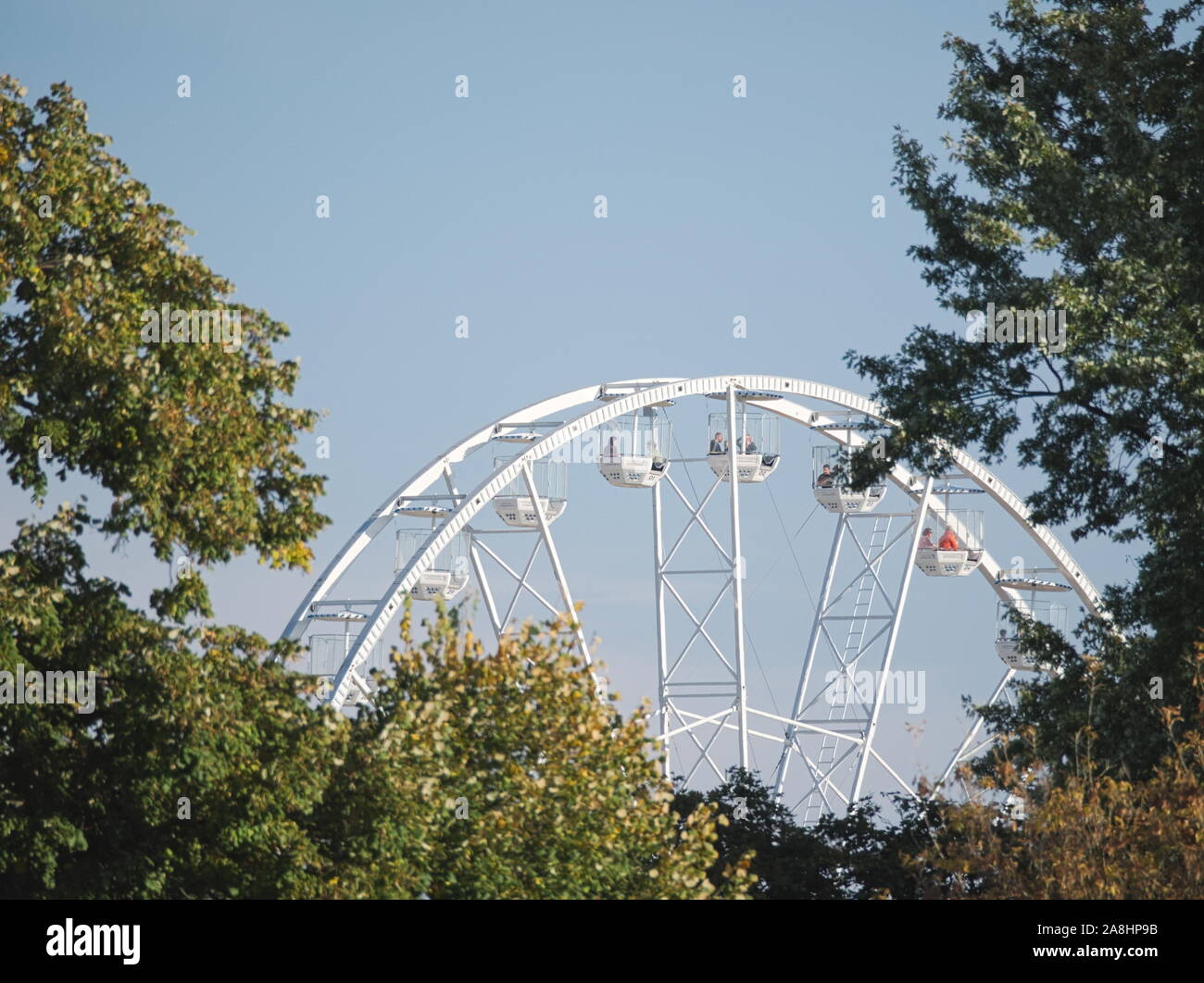 Ferris wheel trees in park amusement park hi-res stock photography and ...